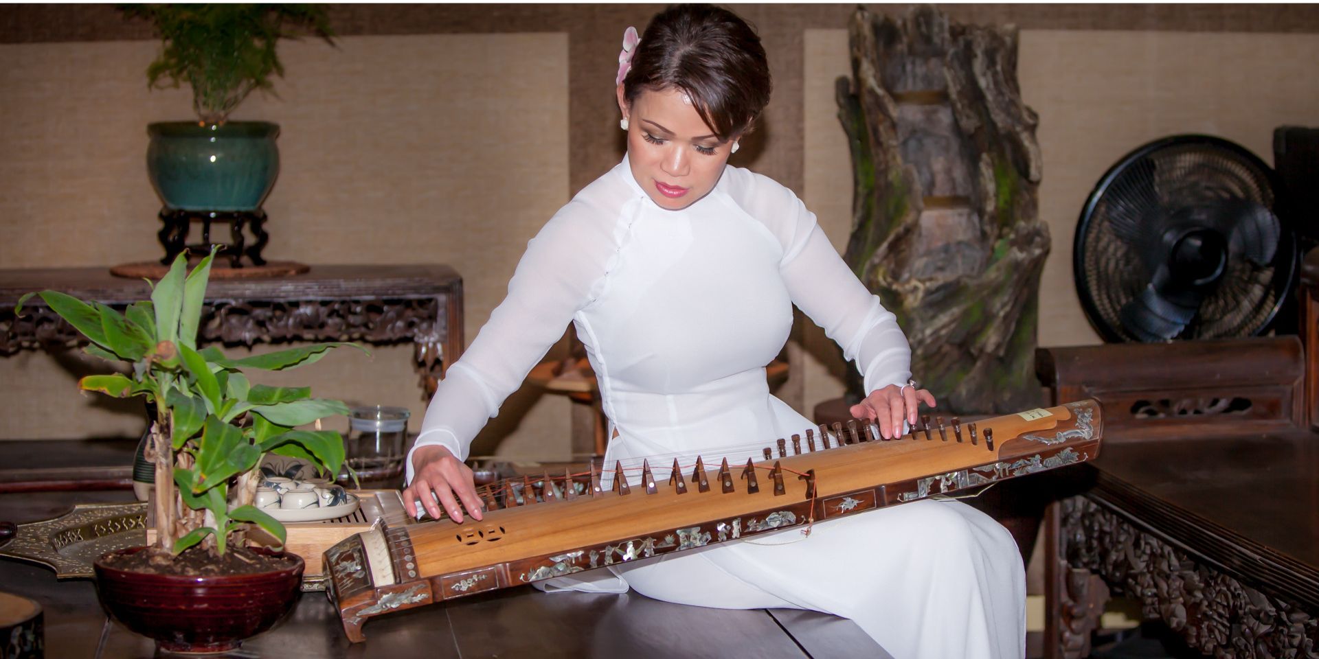 The Soulful Sounds of Vietnamese Traditional Instruments