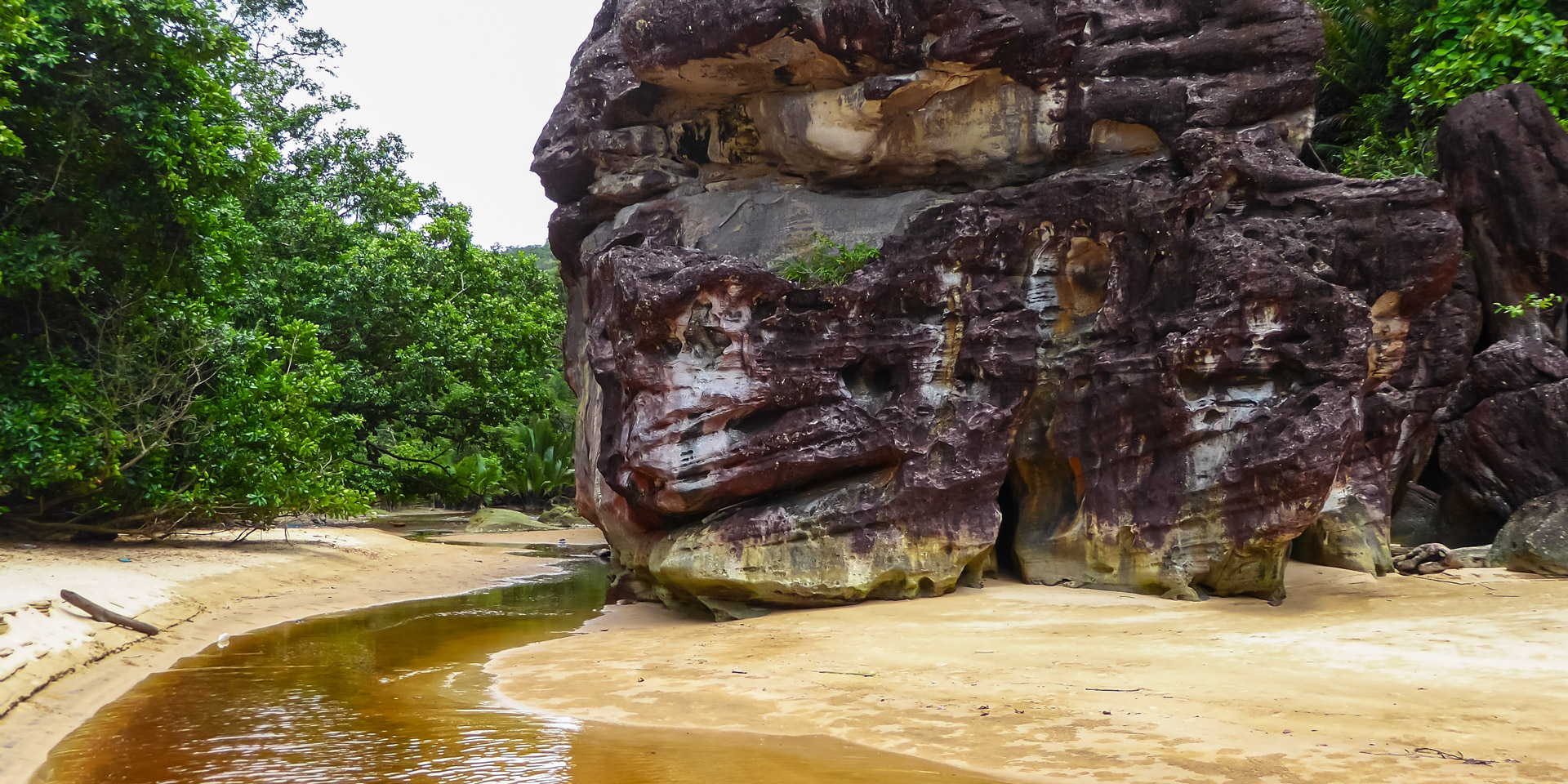 Bako National Park: Proboscis Monkeys and Cliff Trails near Kuching