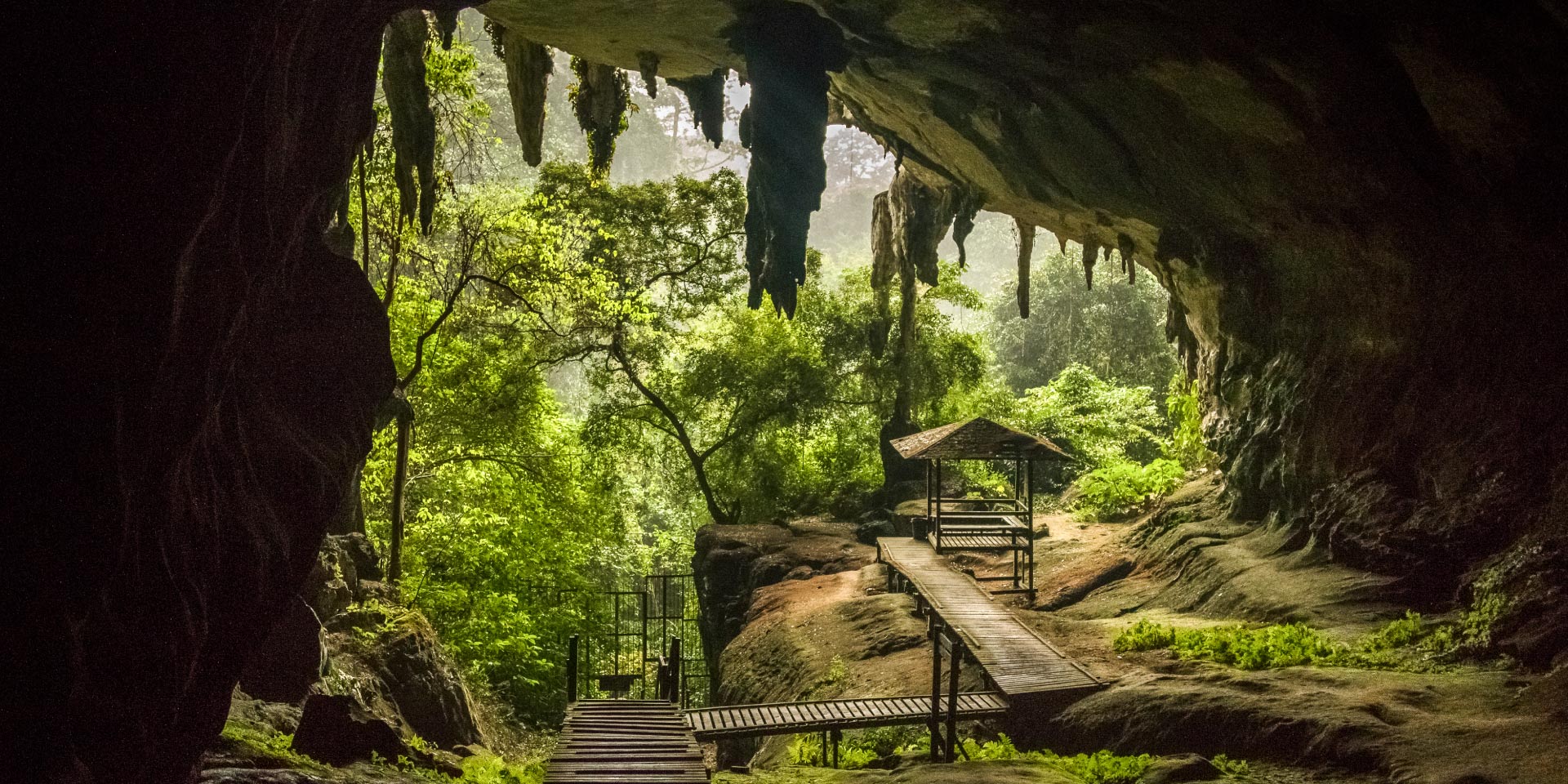 Niah Caves Sarawak: Prehistoric Art and Giant Caverns Guide