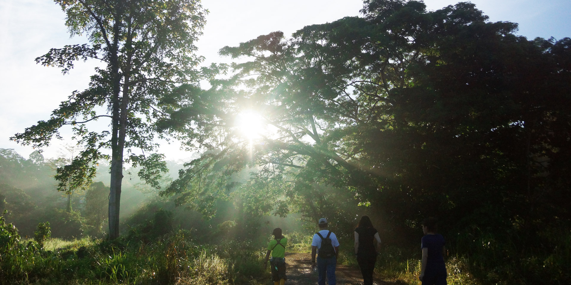 Tabin Wildlife Reserve: Night Safaris and Mud Volcanoes