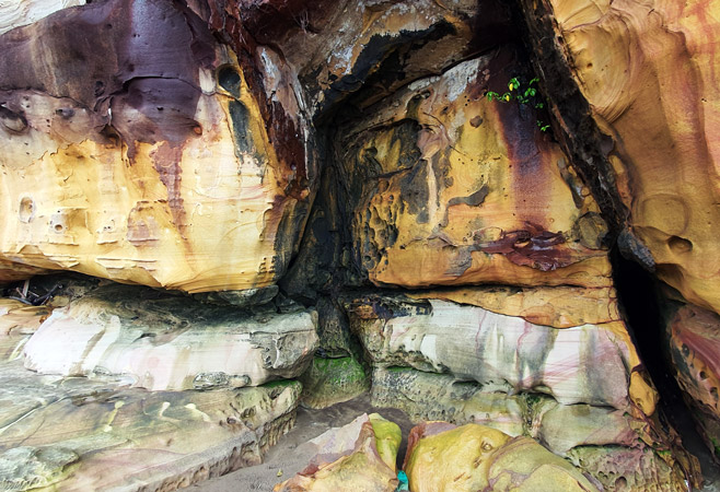 Bako National Park: Proboscis Monkeys and Cliff Trails near Kuching