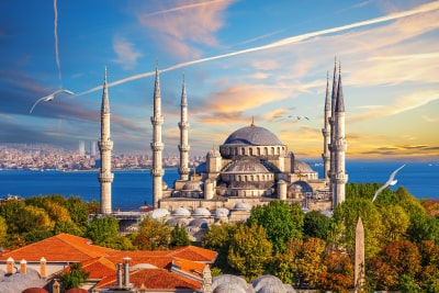 Contact Us - Bahrain Immigration Services