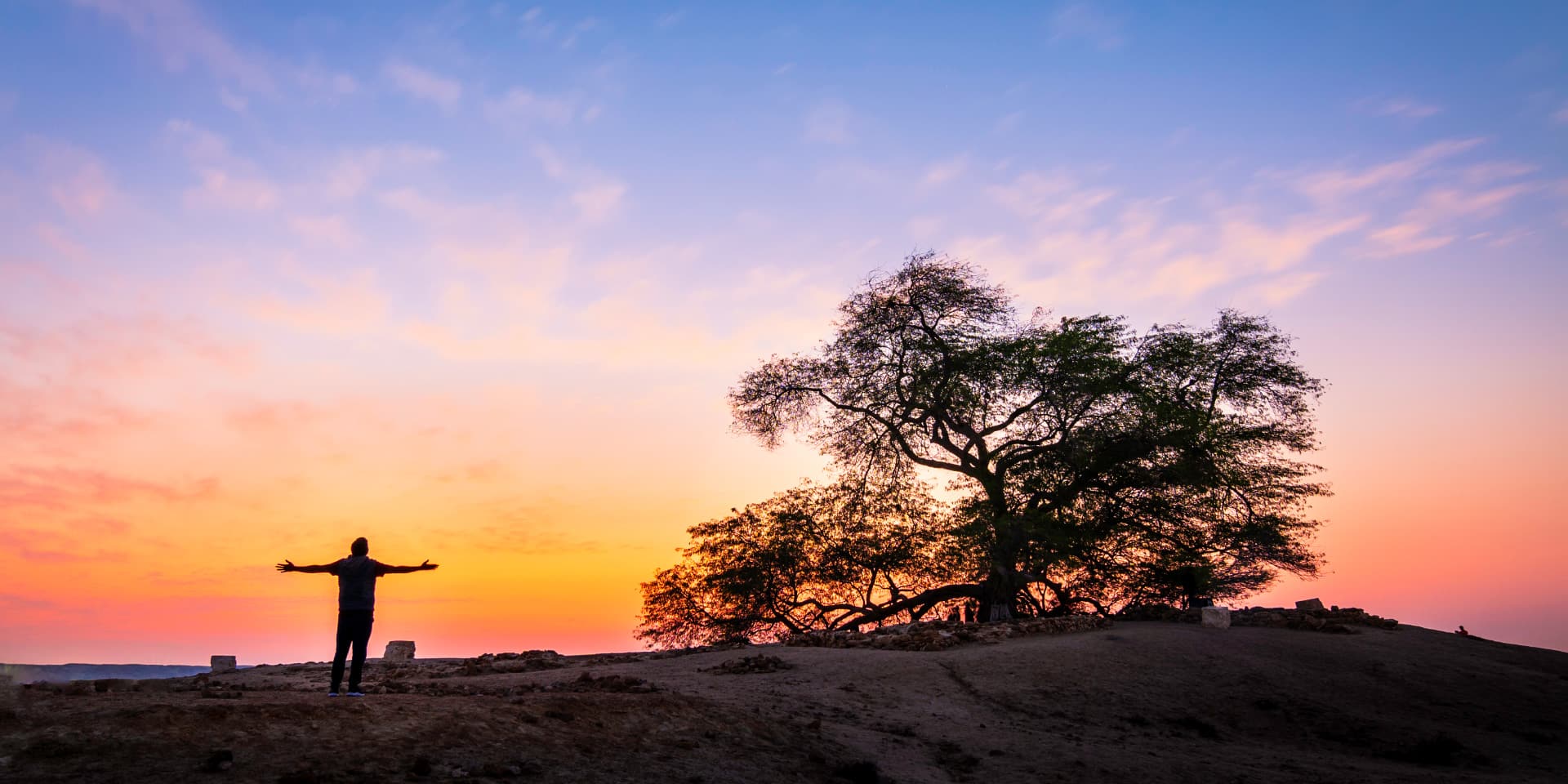 Tree of Life Sunrise Guide: Routes, Sand Conditions & Safety Tips